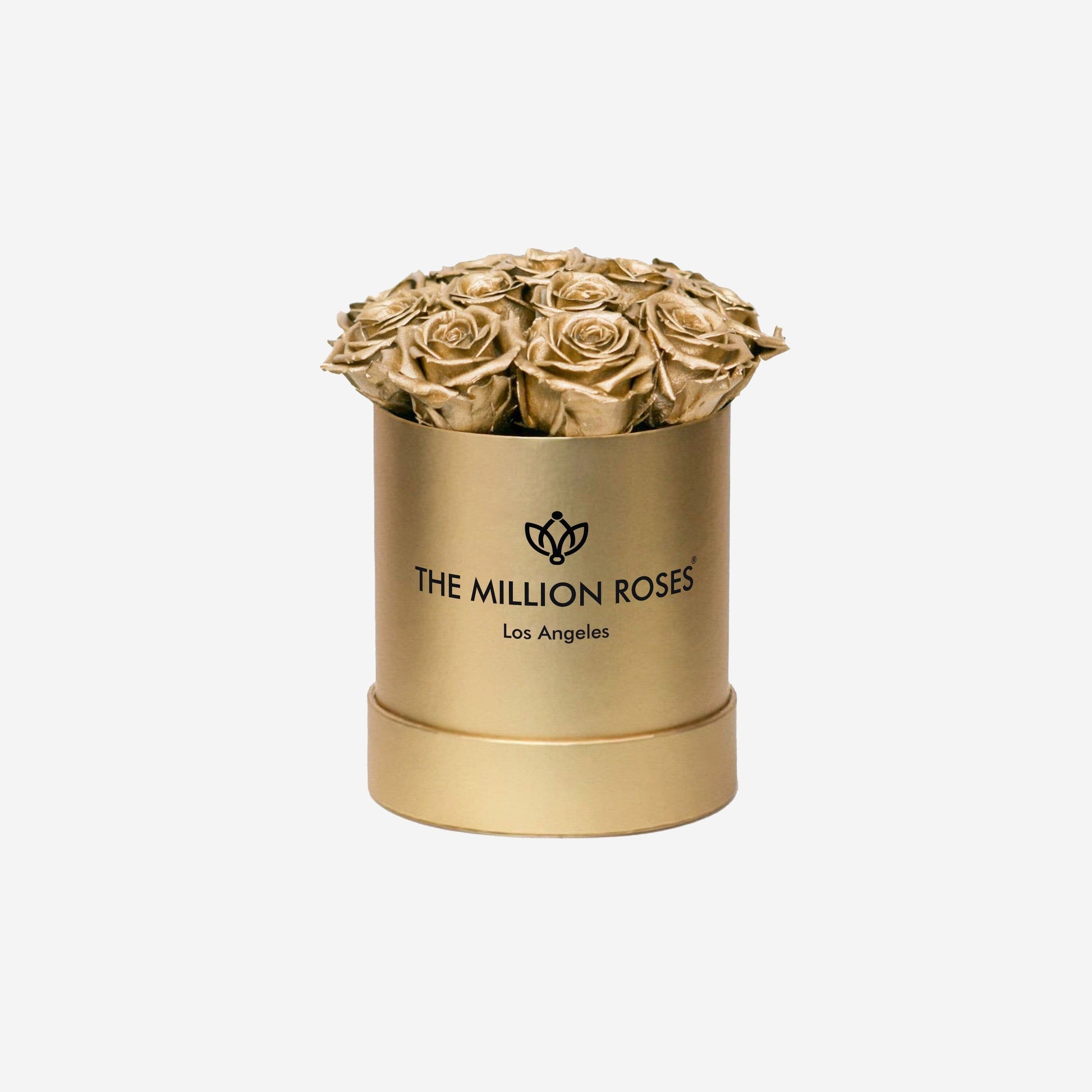 BASIC GOLD BOX – Georgia Wholesale